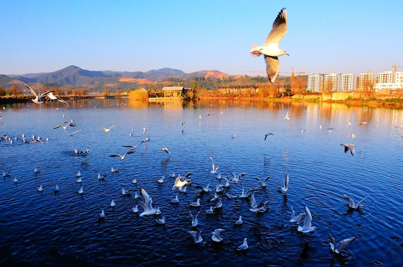 슈퍼맵 SuperMap Case Study│오·폐수 정화도 스마트하게